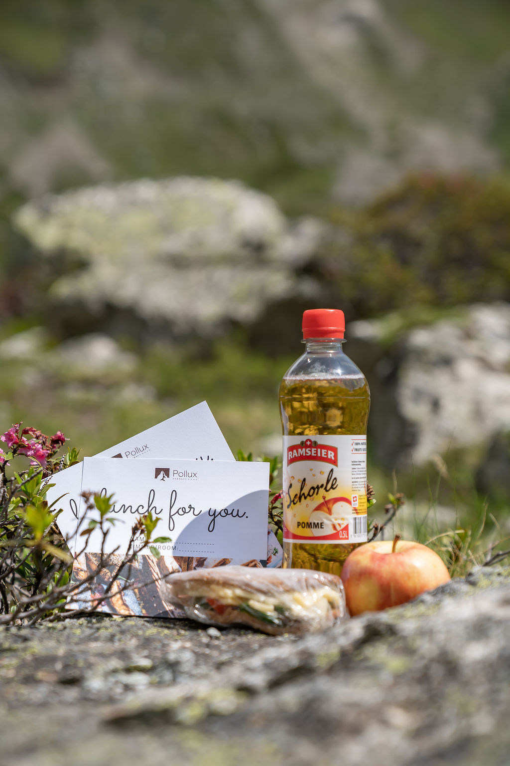 Our packages | The hotel in the centre of Zermatt | Hotel Pollux